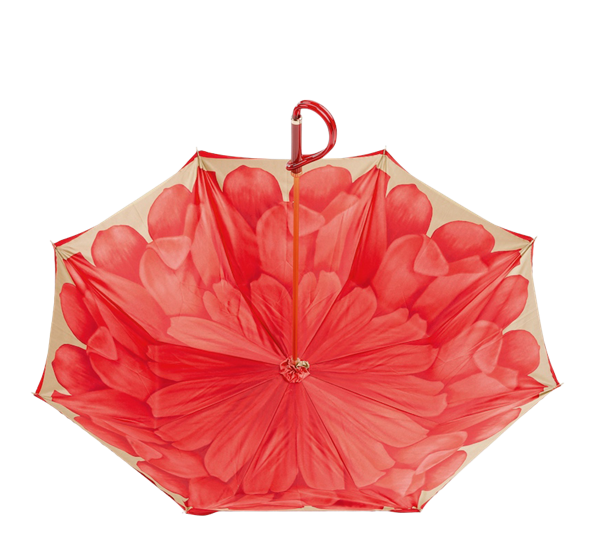 Paraply lang georginer rød